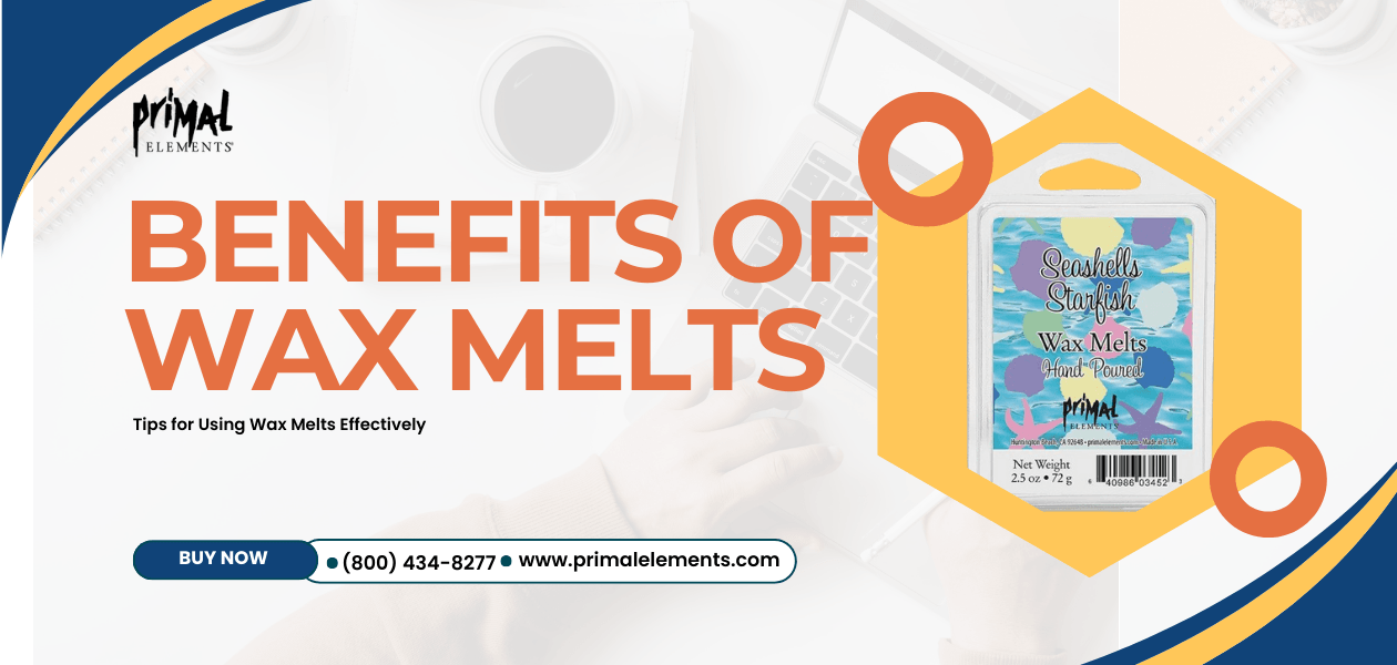 Stay Updated with Our Latest Blogs - Primal Elements