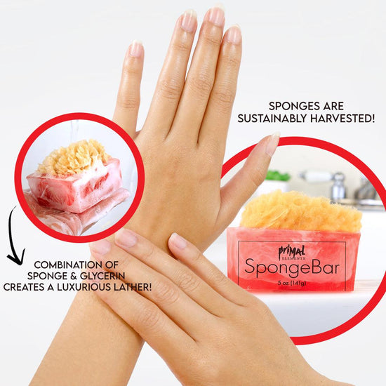 SpongeBar Soap | Glycerin Soap – Primal Elements