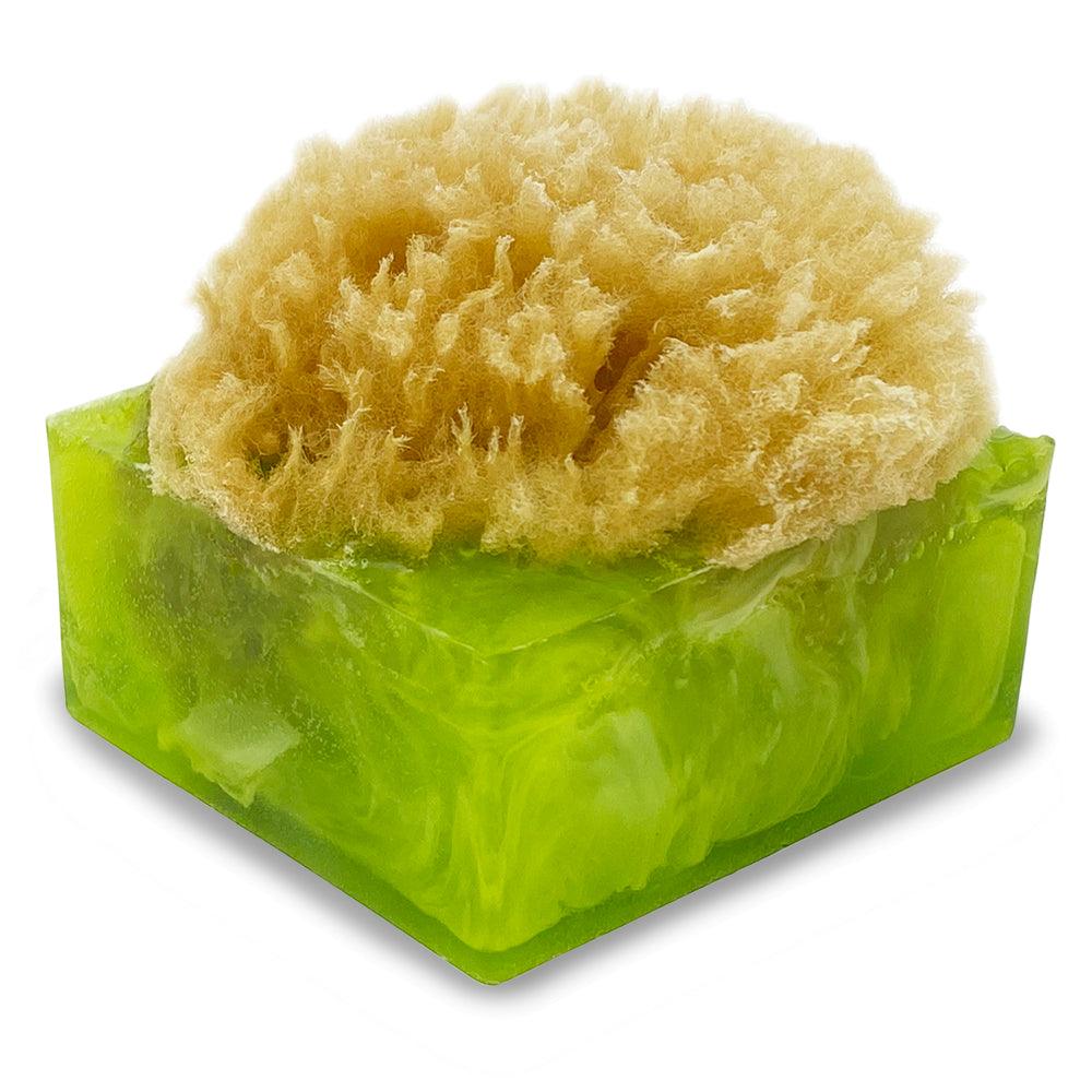 Sea Salt And Citrus Spongebar Glycerin Bar Soap – Primal Elements